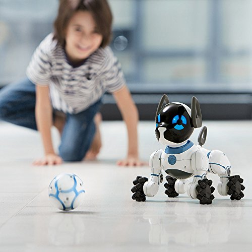 CHip the Robot Dog Review - Why Now is a Good Time to Buy Him